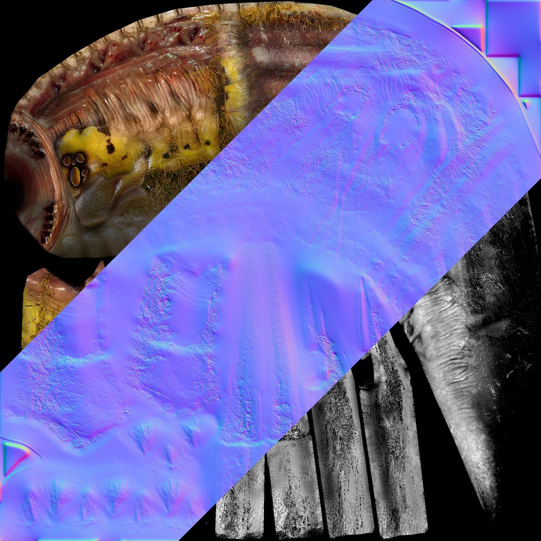 Monster