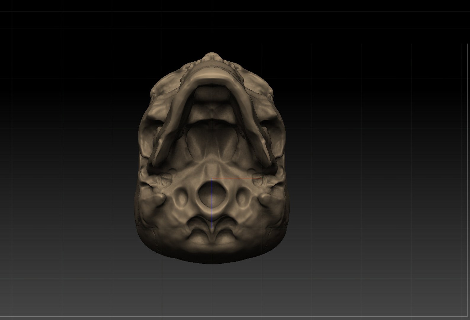 Skkul head 3D - TurboSquid 1377818