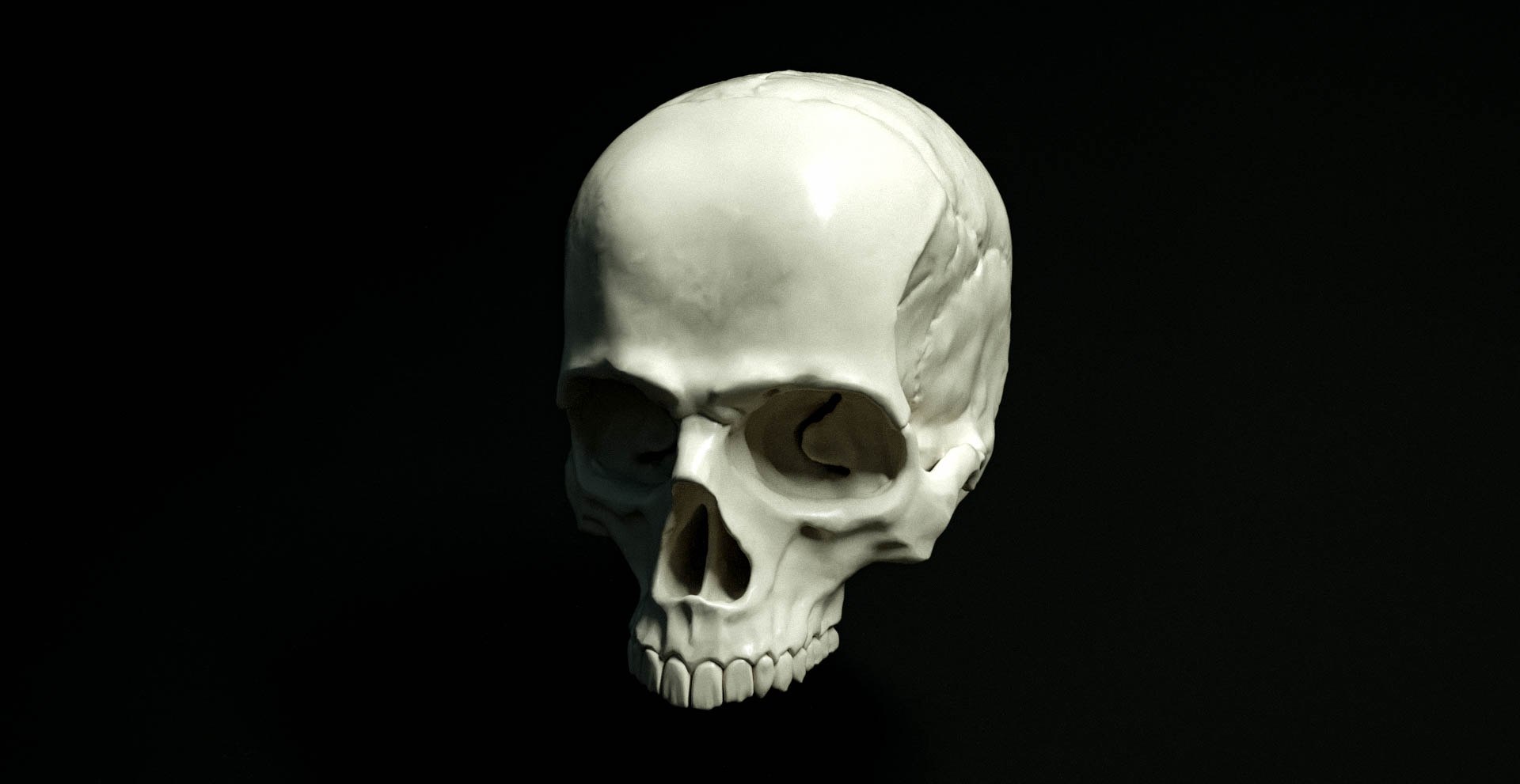 Skkul head 3D - TurboSquid 1377818