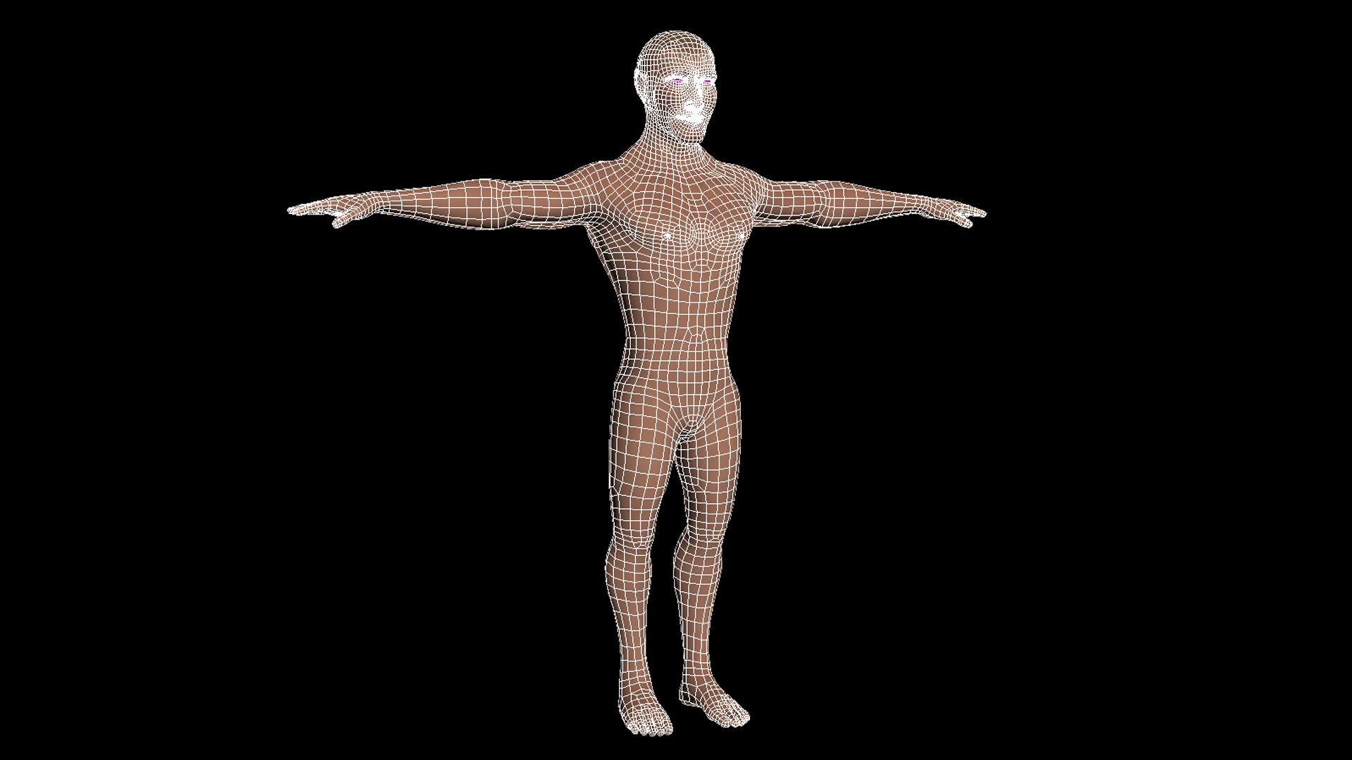 human male 3d max