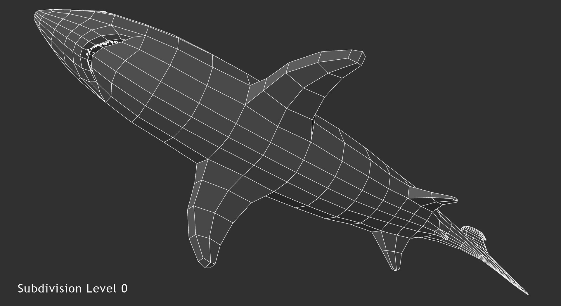 great white shark obj