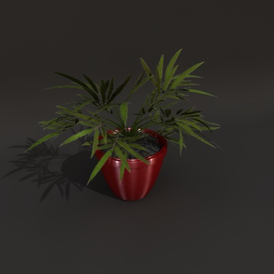 Green Plant 3d Obj