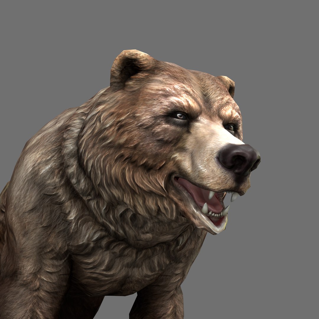 Grizzly Bear Model - TurboSquid 1299595