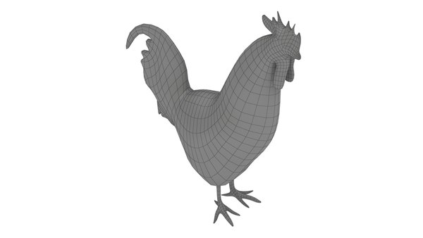 Chicken chick 3D model - TurboSquid 1663163