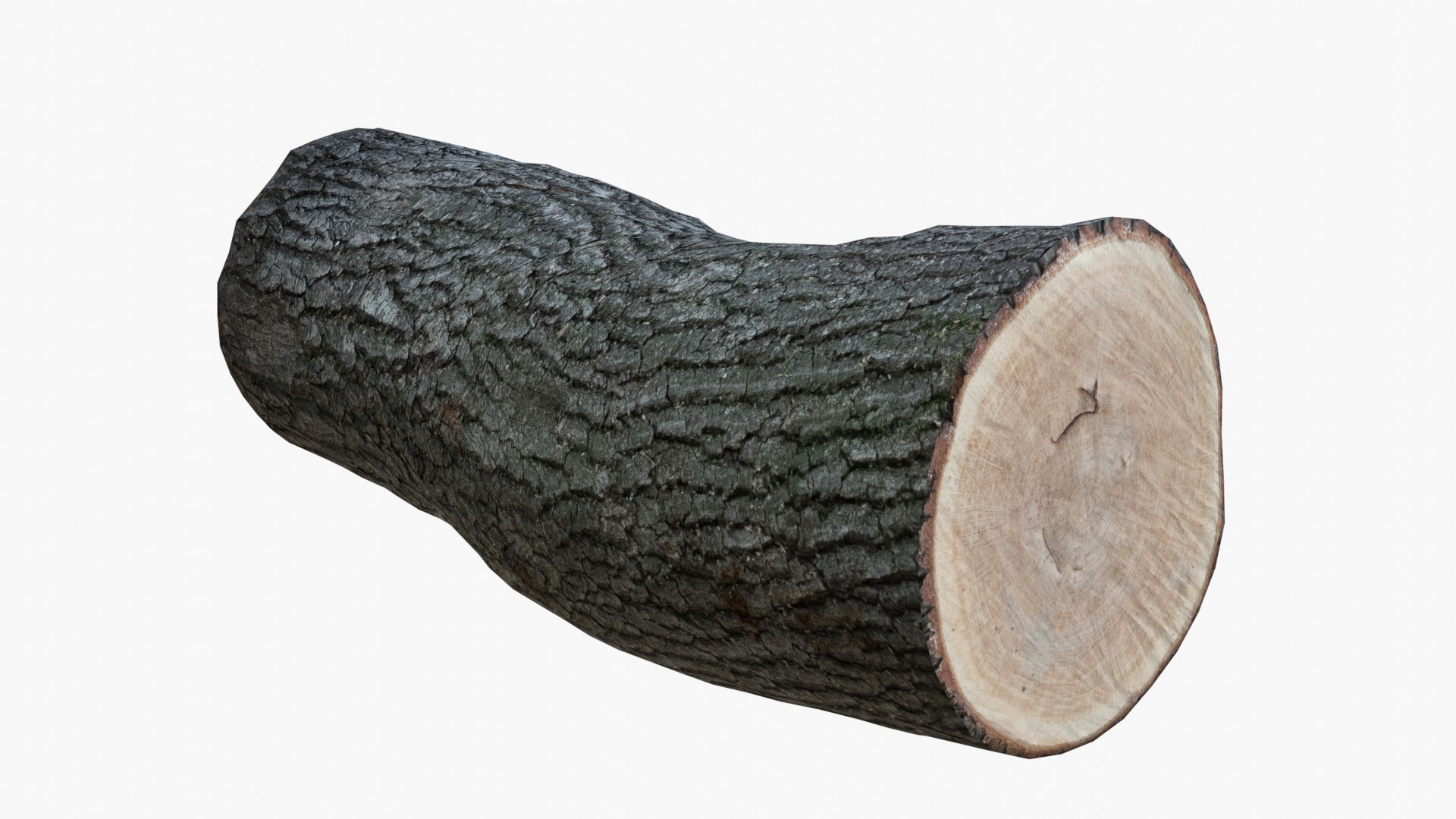 3D model Tree Log PBR Scan Retopo - TurboSquid 1837564