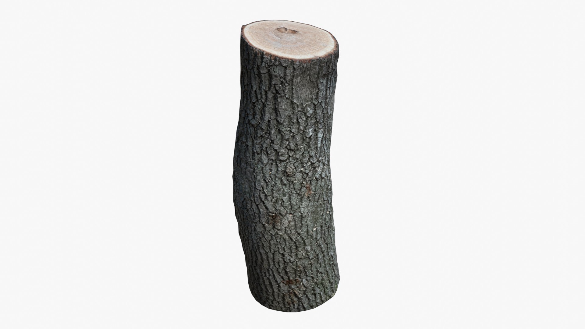 3D model Tree Log PBR Scan Retopo - TurboSquid 1837564