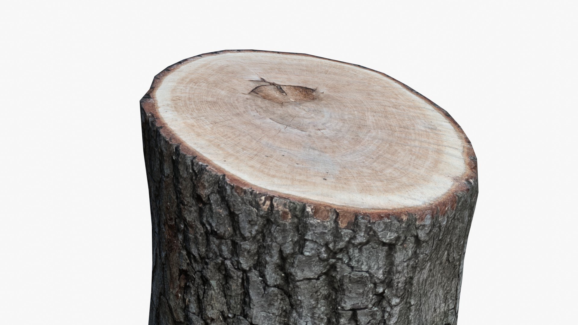 3D model Tree Log PBR Scan Retopo - TurboSquid 1837564