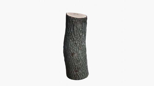 3D model Tree Log PBR Scan Retopo - TurboSquid 1837564