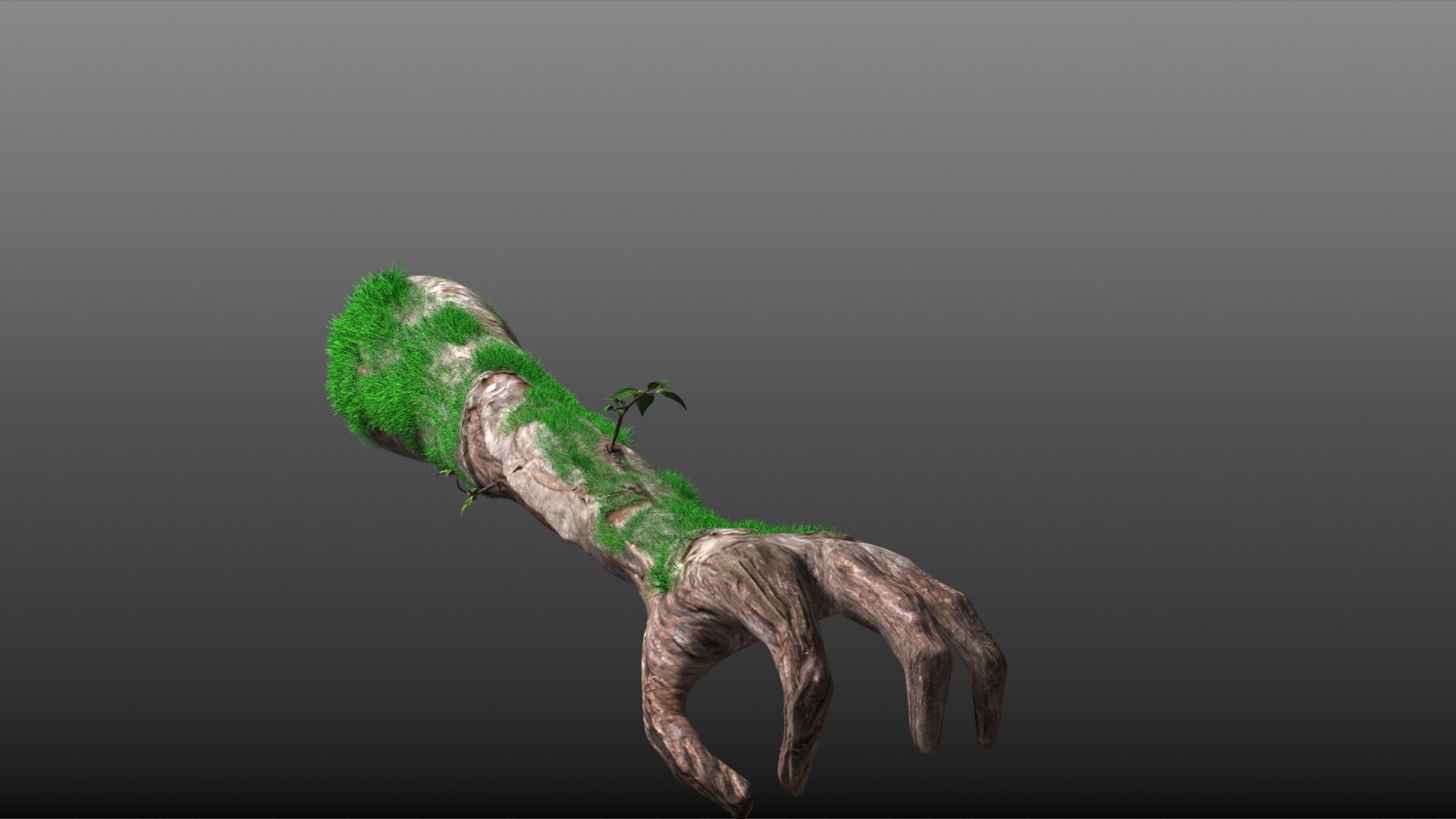 3d modeled tree hand nature model