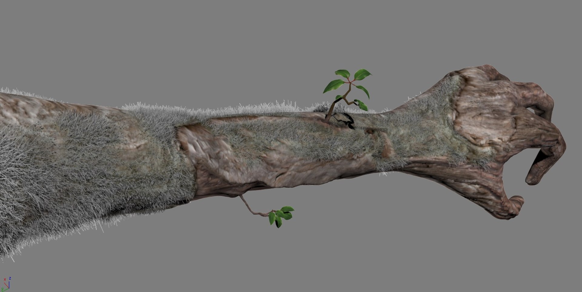 3d modeled tree hand nature model