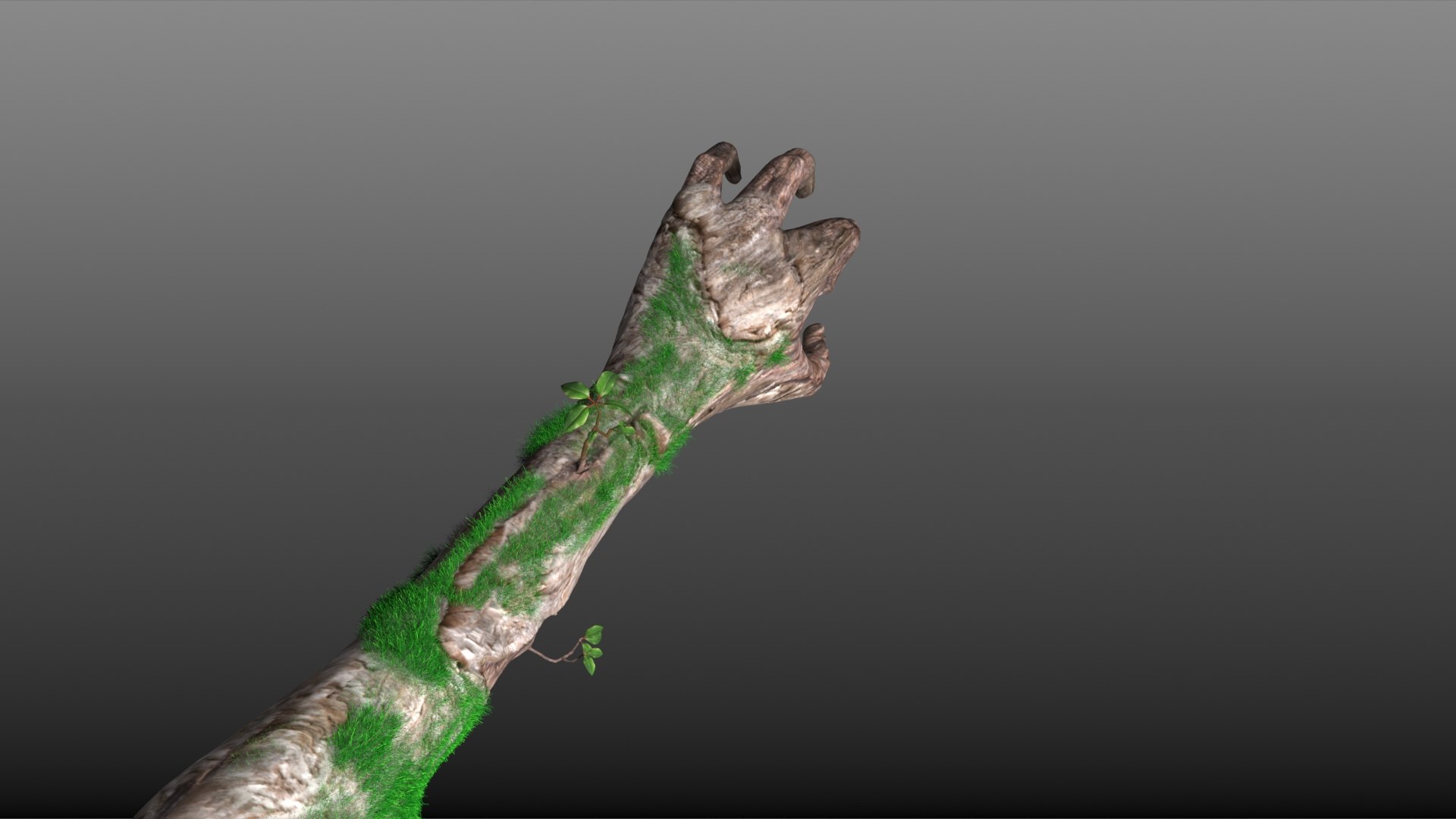 3d modeled tree hand nature model