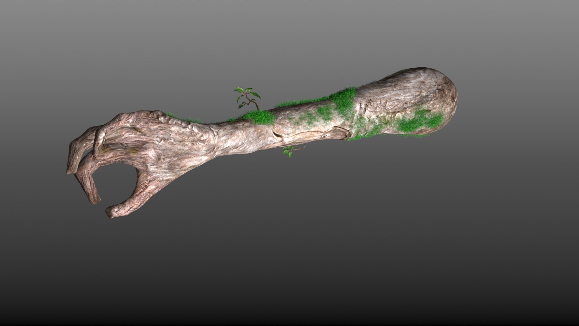 3d modeled tree hand nature model