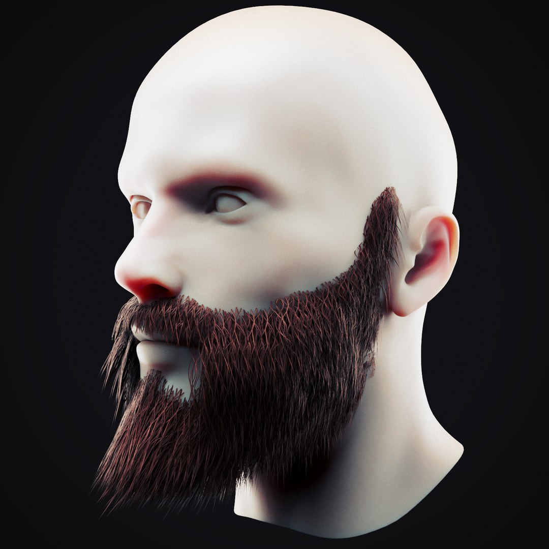 3D Beard 14 Model - TurboSquid 1489868