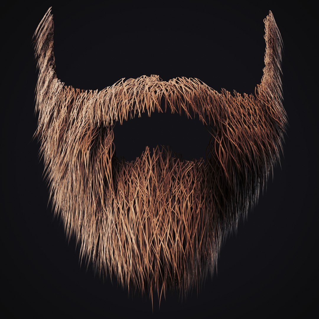 3D Beard 14 Model - TurboSquid 1489868