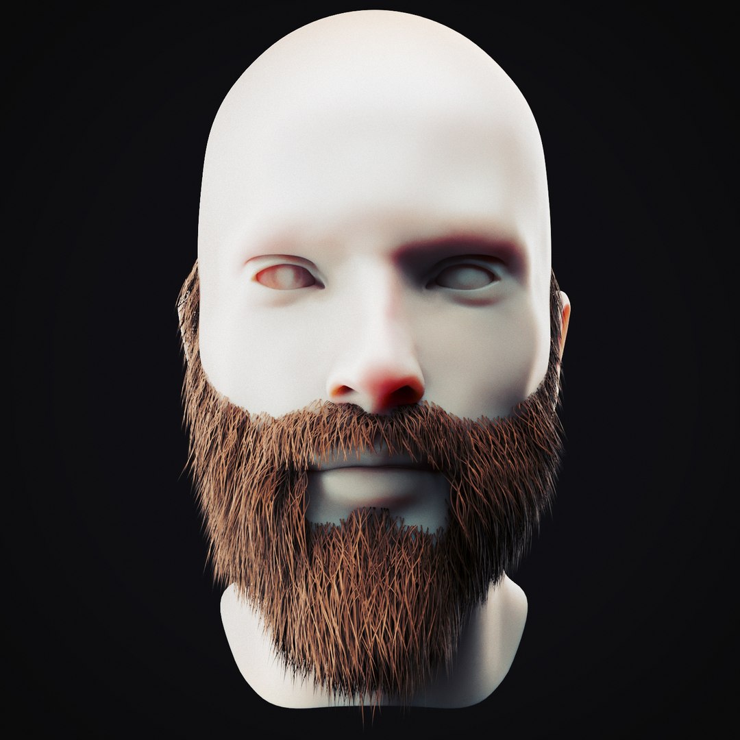 3D Beard 14 Model - TurboSquid 1489868
