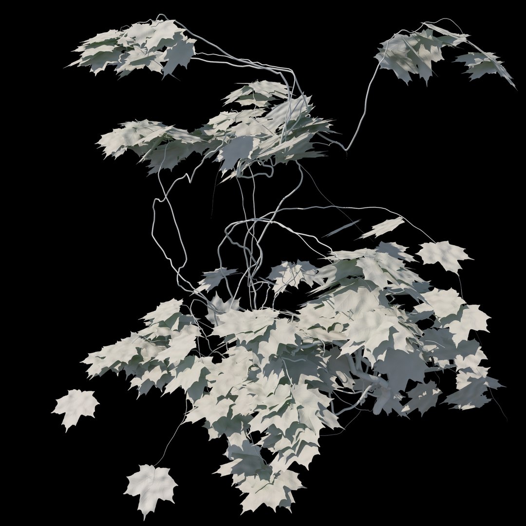 3D Realistic Ivy Wall Model - TurboSquid 1149322