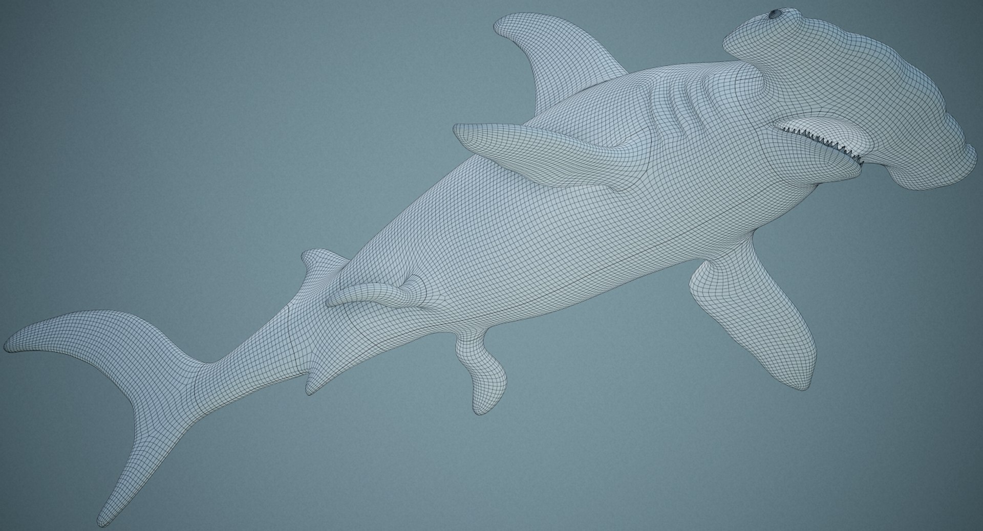 Hammerhead Shark 3D Model - TurboSquid 1334890