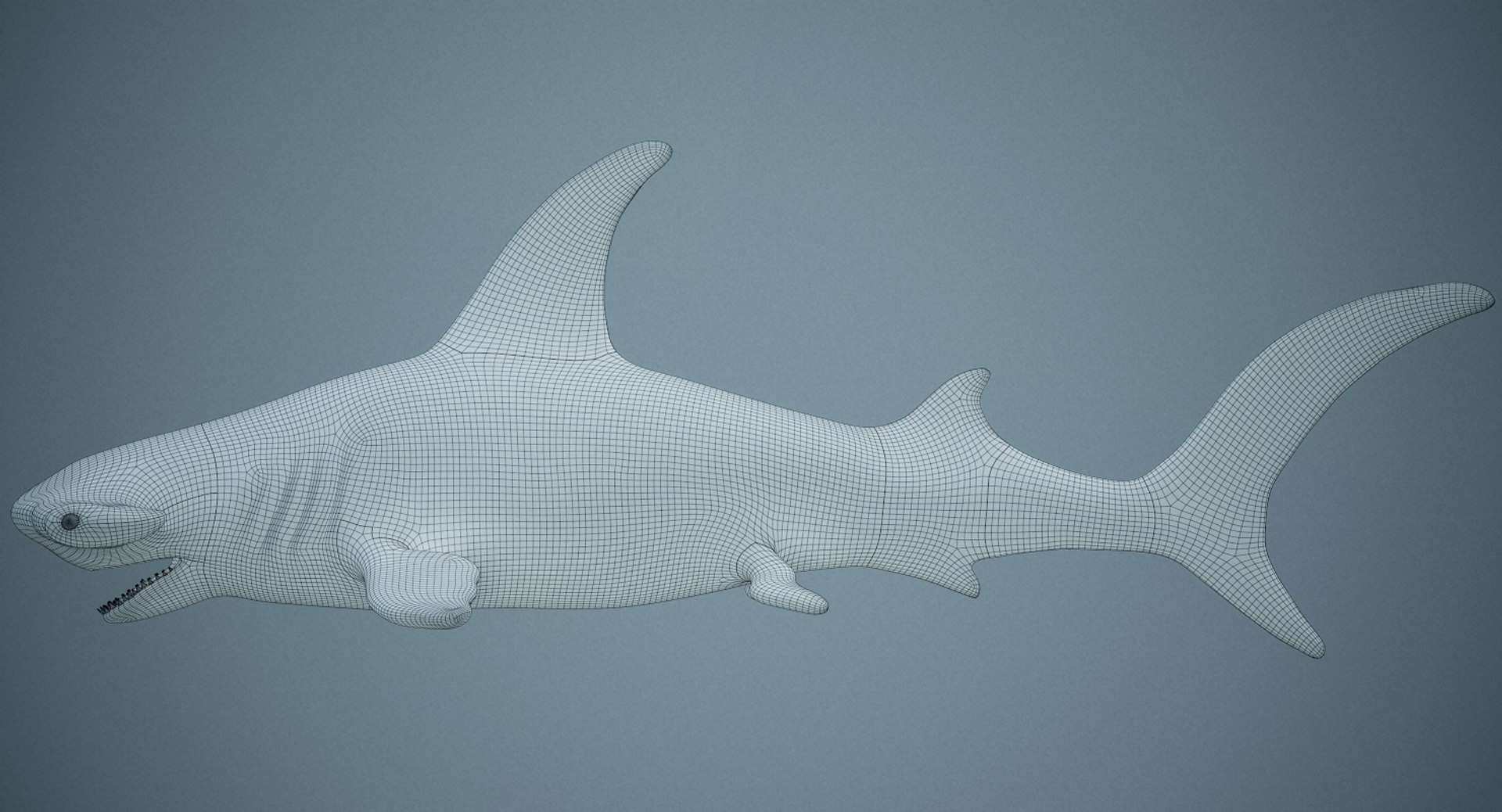 Hammerhead Shark 3D Model - TurboSquid 1334890