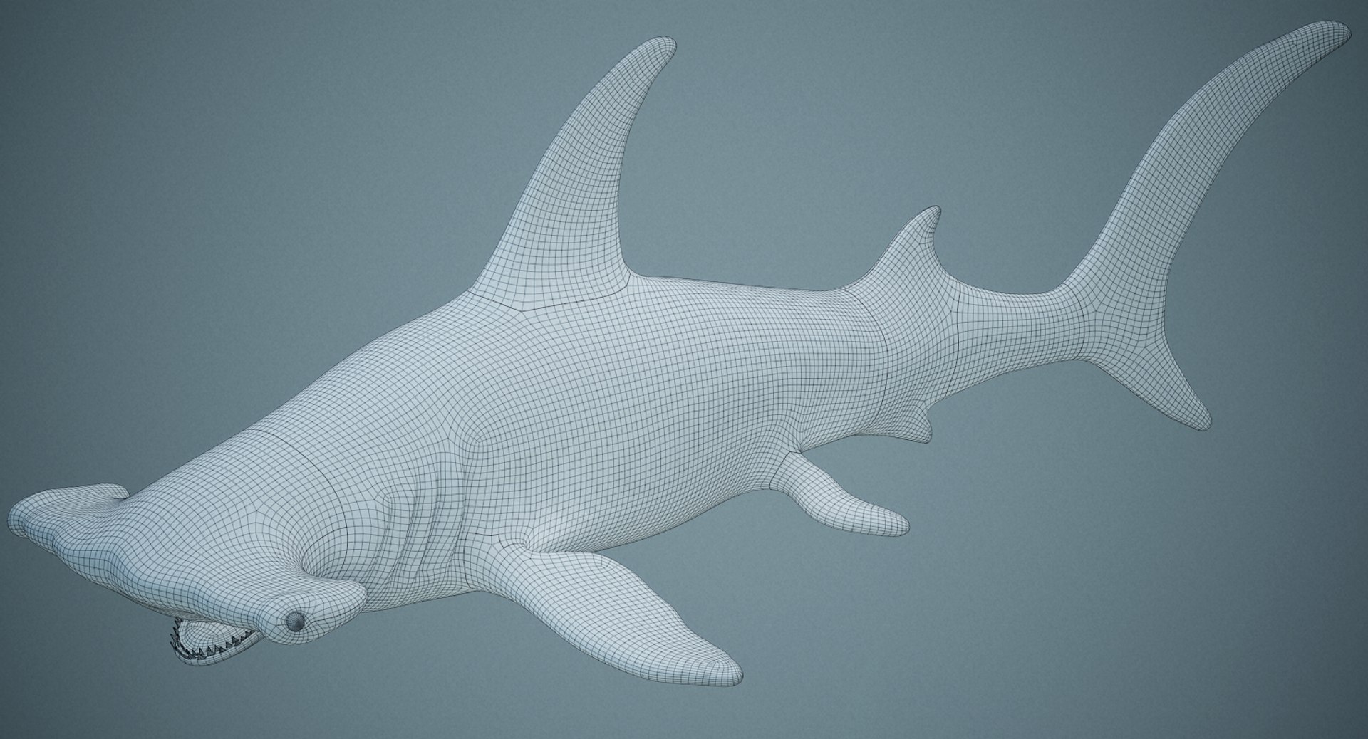 Hammerhead Shark 3D Model - TurboSquid 1334890