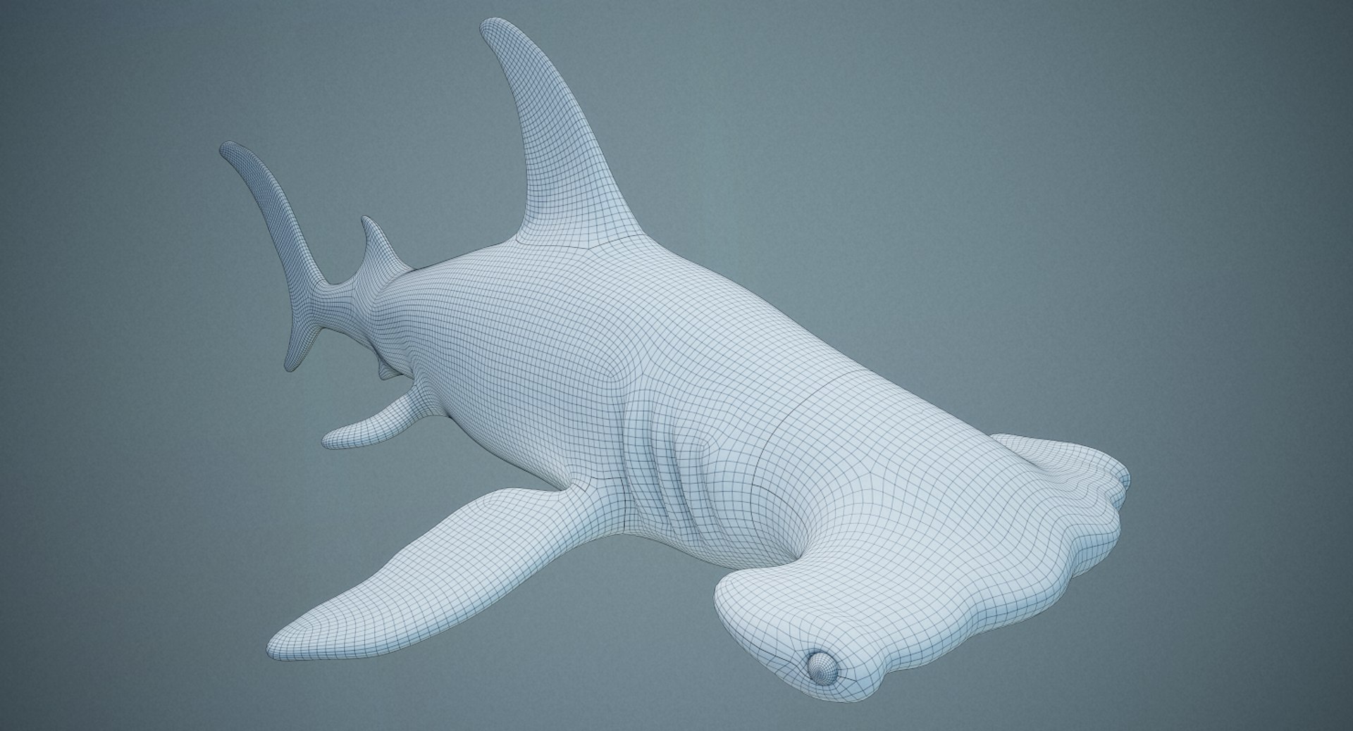 Hammerhead Shark 3D Model - TurboSquid 1334890