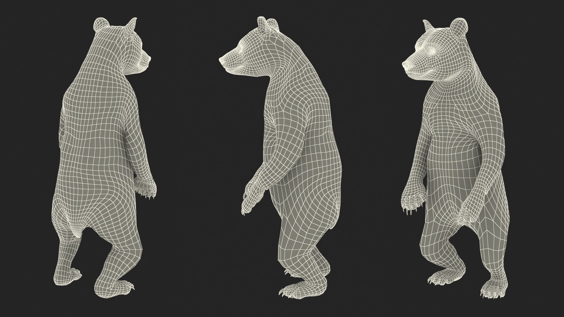 Standing Young Black Bear 3D - TurboSquid 2255017