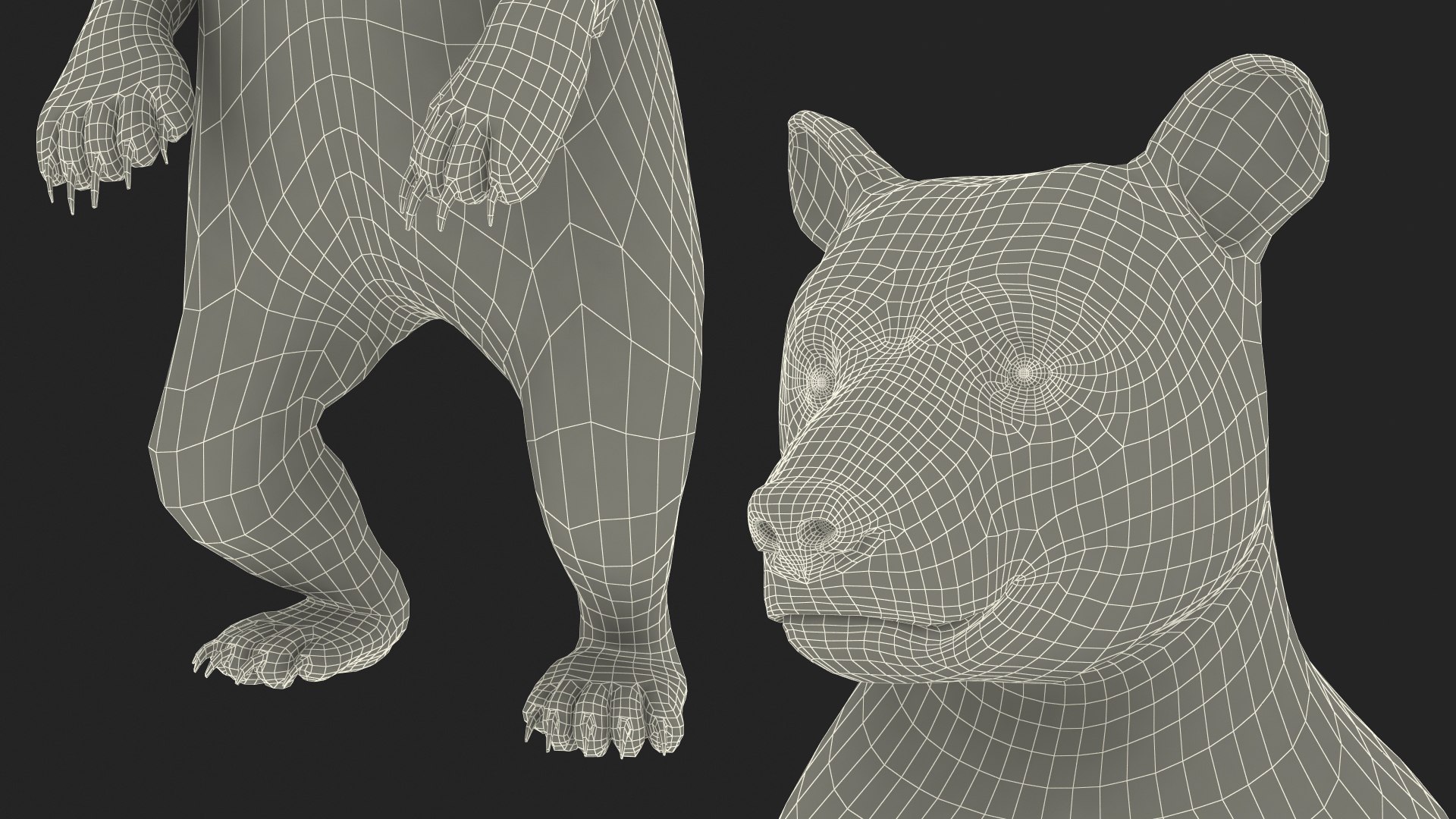 Standing Young Black Bear 3D - TurboSquid 2255017