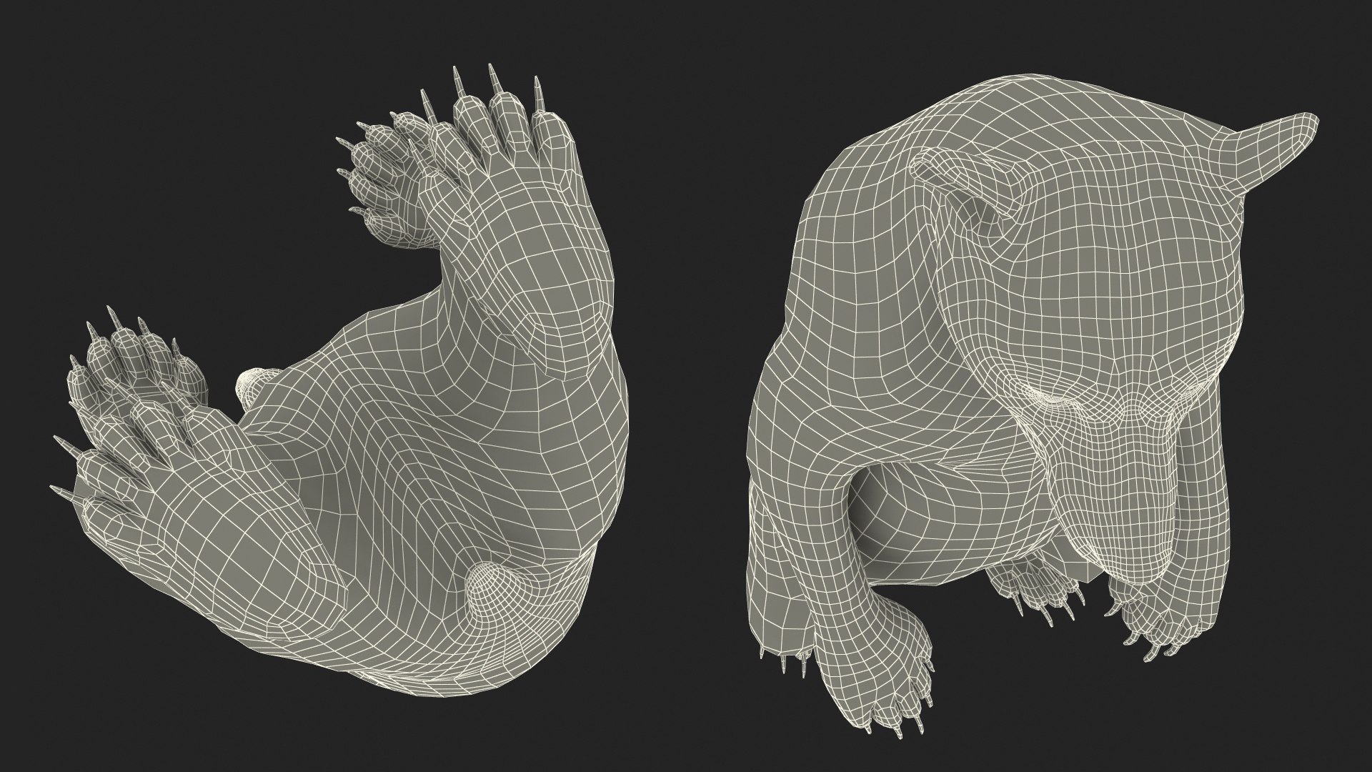 Standing Young Black Bear 3D - TurboSquid 2255017