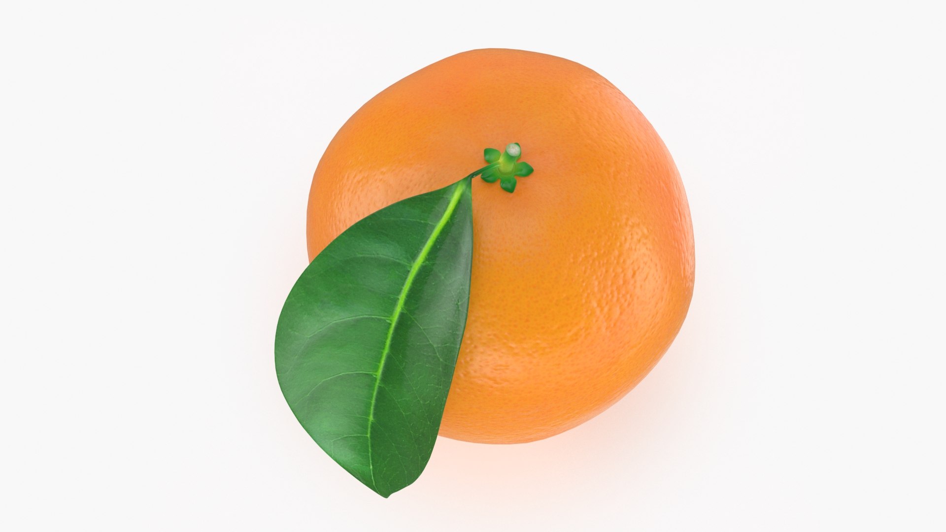Realistic orange fruit 3D model - TurboSquid 1204943