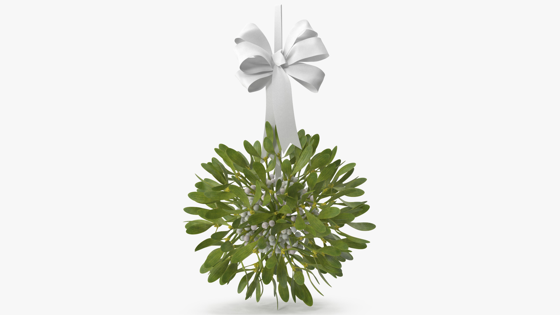 Mistletoe V 2 With White Bow 3D Model - TurboSquid 1806478