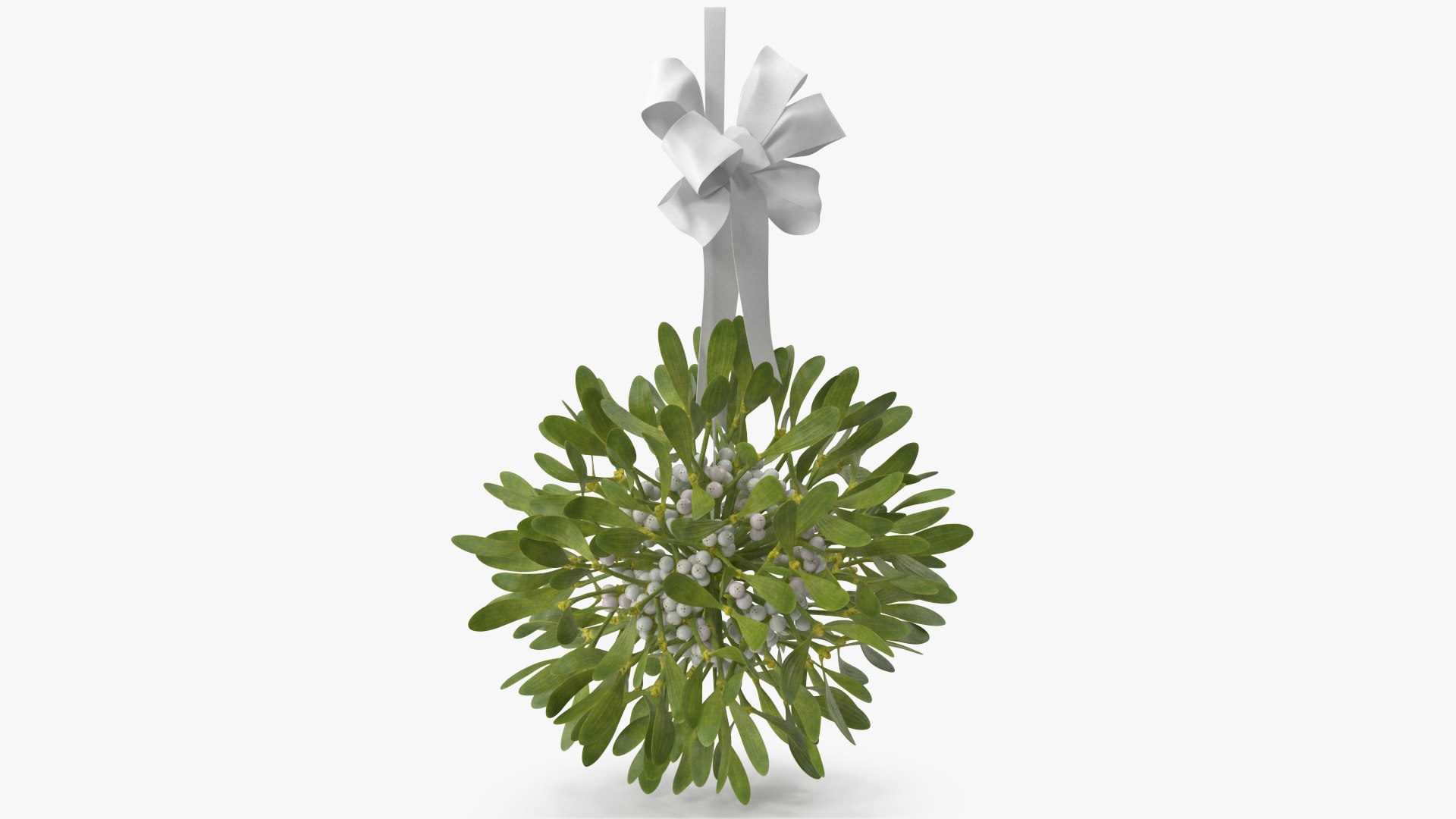 Mistletoe V 2 With White Bow 3D Model - TurboSquid 1806478