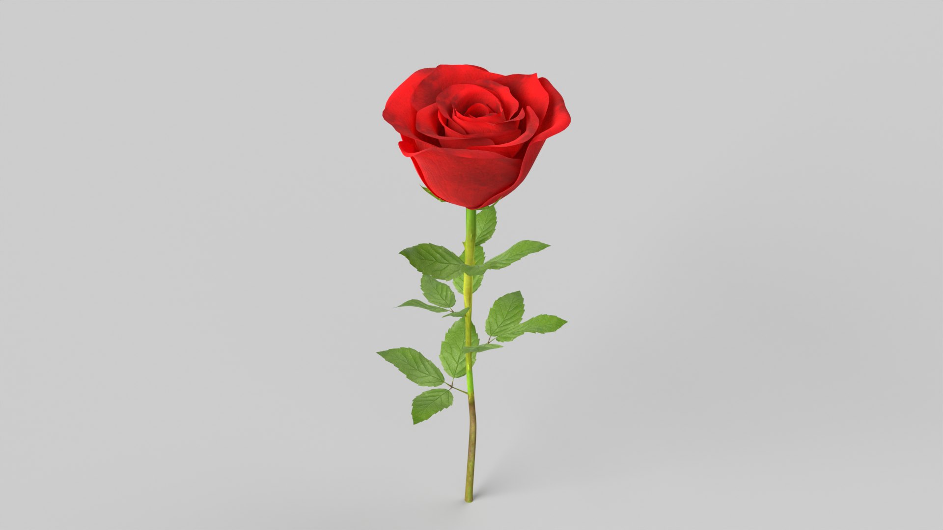 Rose 3 3D Model - TurboSquid 2133467