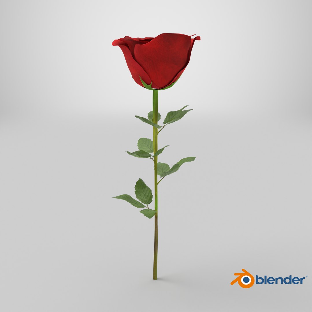 Rose 3 3D Model - TurboSquid 2133467