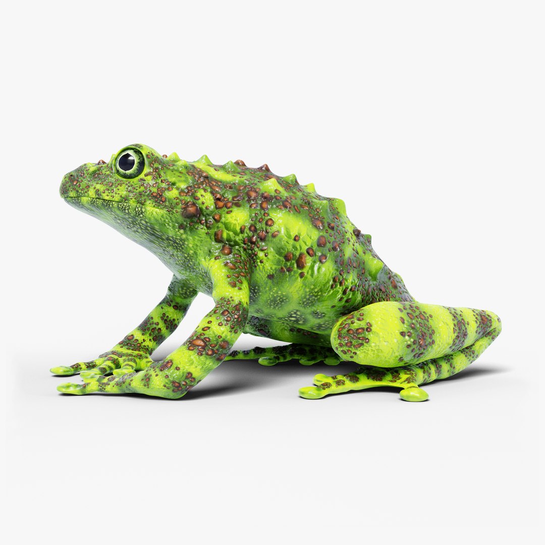 Vietnamese Mossy Frog - Rigged 3D model - TurboSquid 2031819