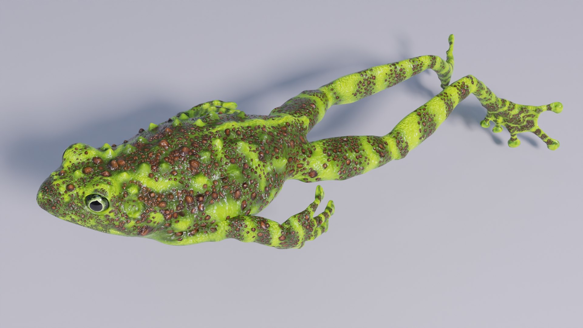 Vietnamese Mossy Frog - Rigged 3D Model - TurboSquid 2031819