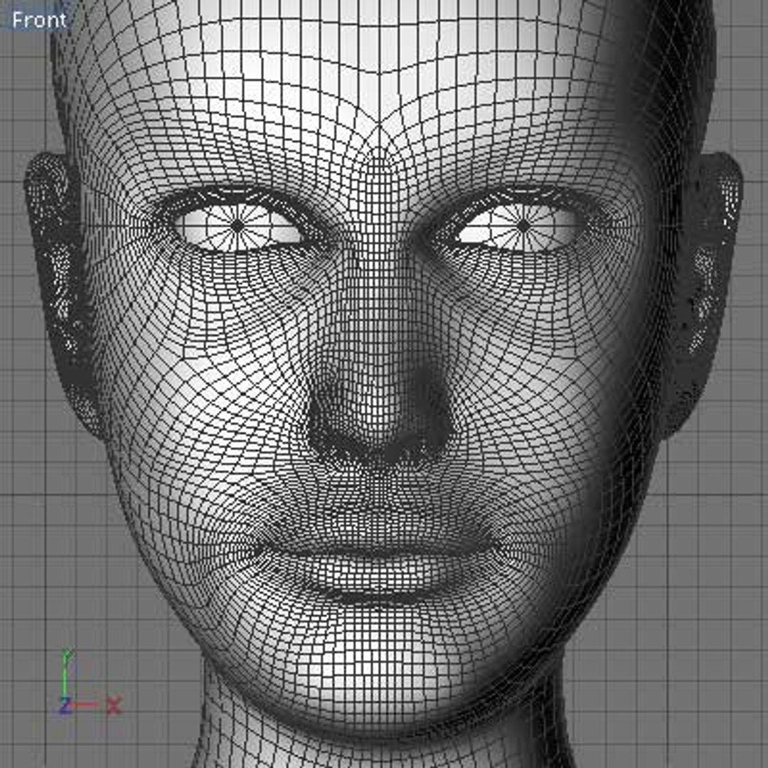 Liv Head Reference 3d Dxf