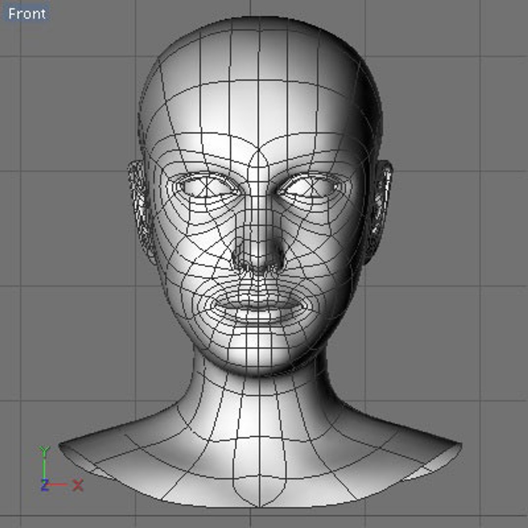 Liv Head Reference 3d Dxf