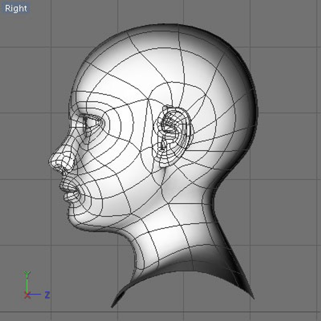 Liv Head Reference 3d Dxf