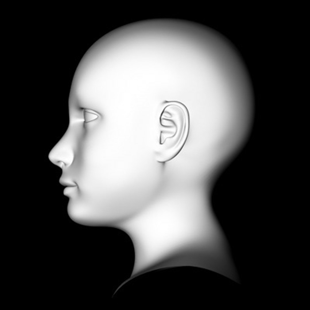 Liv Head Reference 3d Dxf