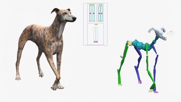 Modello 3D Greyhound Dog maschio tigrato - TurboSquid 2501659
