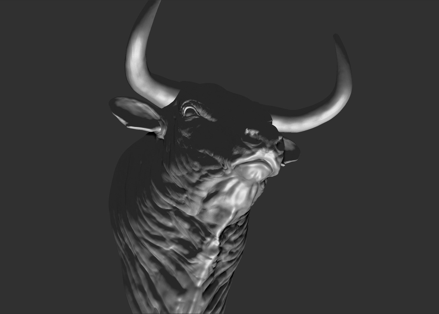 Bull Head 3D model - TurboSquid 1764747