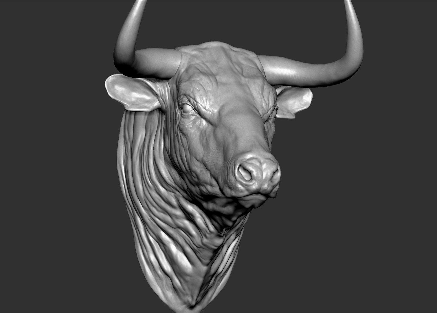 Bull Head 3D Model - TurboSquid 1764747