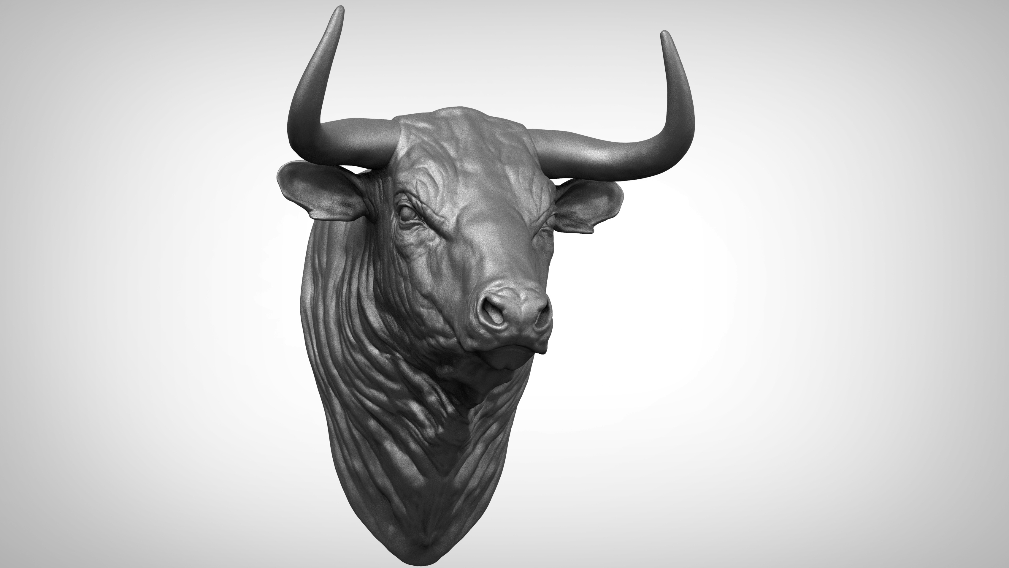 Bull Head 3D model - TurboSquid 1764747