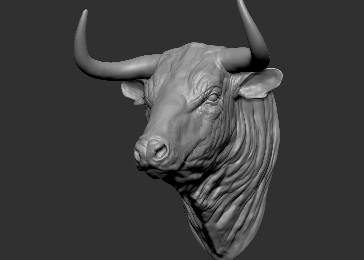Bull Head 3D model - TurboSquid 1764747