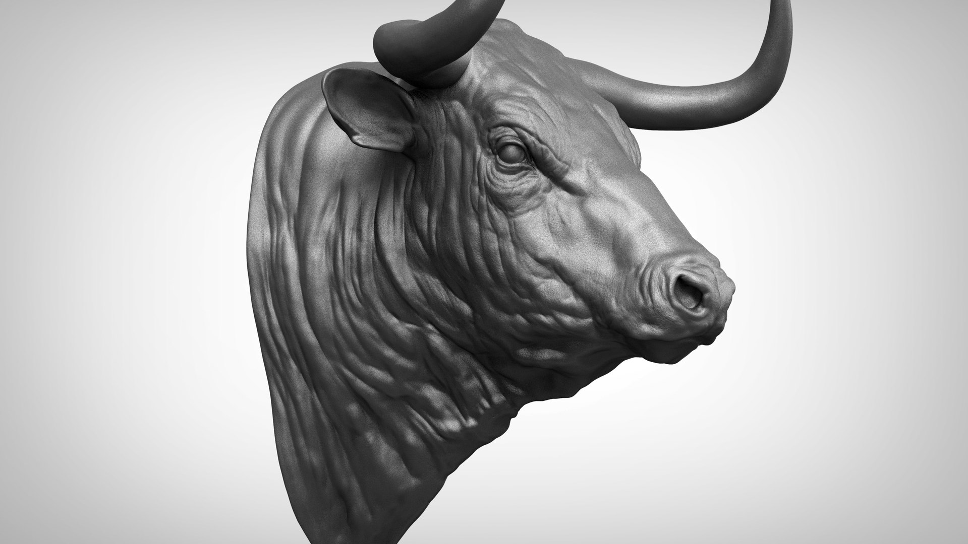 Bull Head 3D Model - TurboSquid 1764747