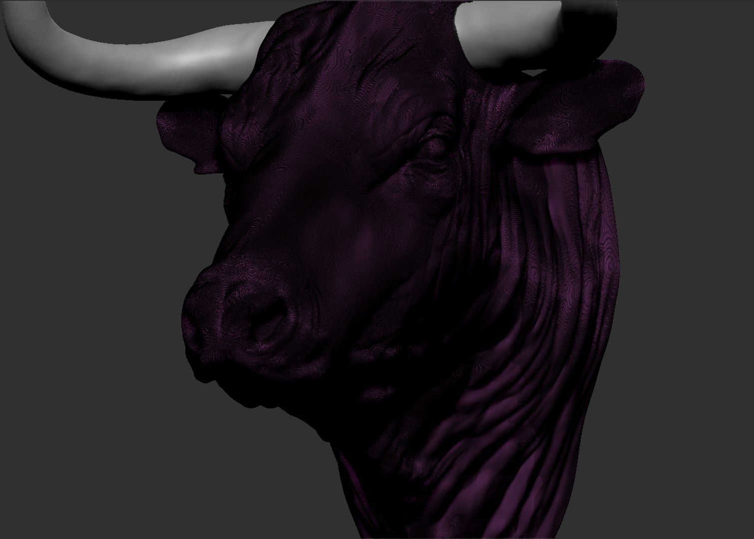 Bull Head 3D model - TurboSquid 1764747
