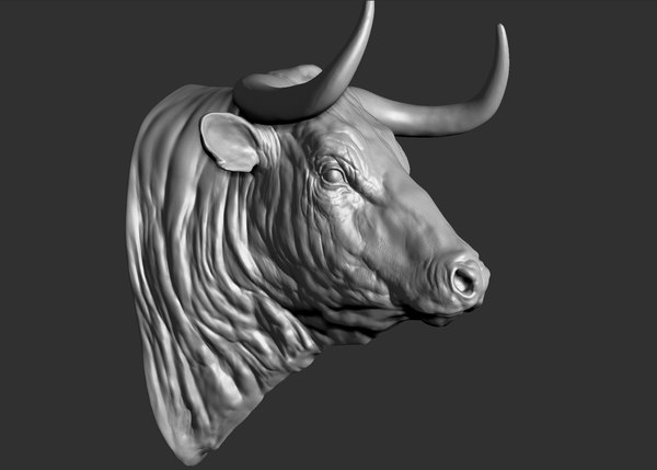 Bull Head 3D model - TurboSquid 1764747