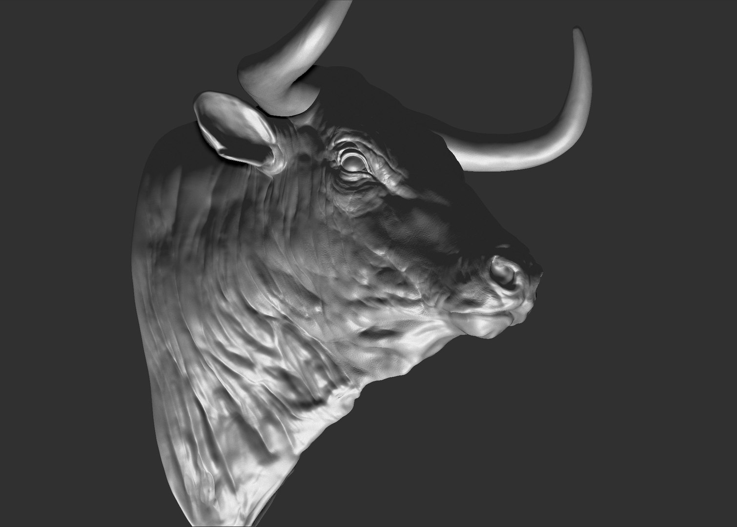 Bull Head 3D Model - TurboSquid 1764747
