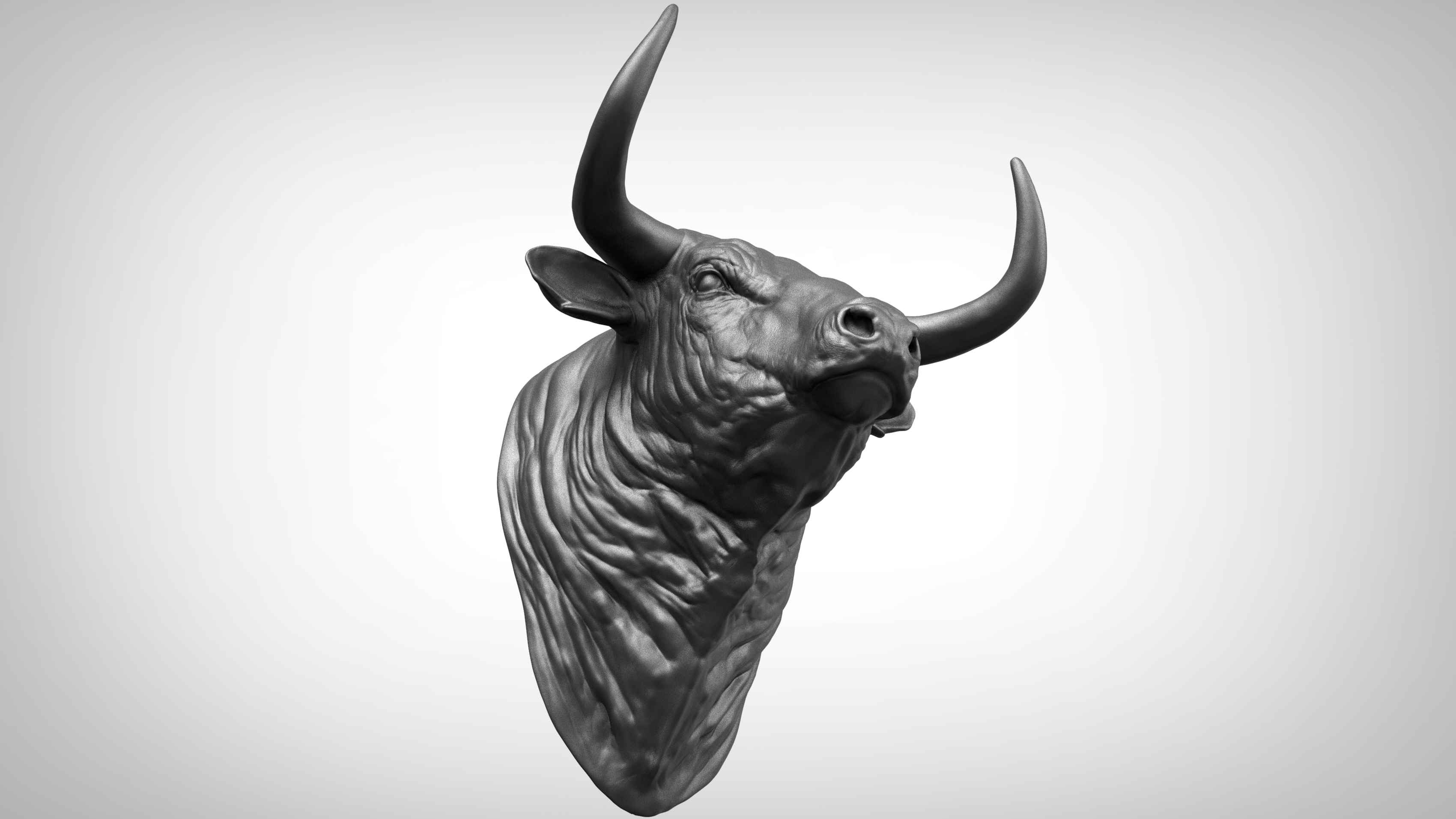 Bull Head 3D model - TurboSquid 1764747