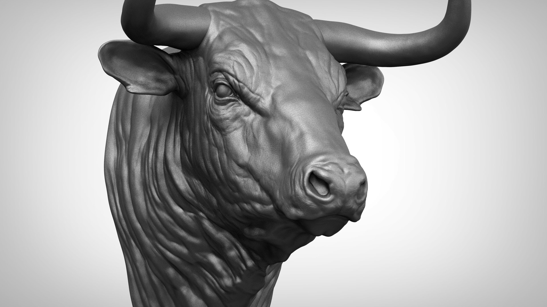 Bull Head 3D Model - TurboSquid 1764747
