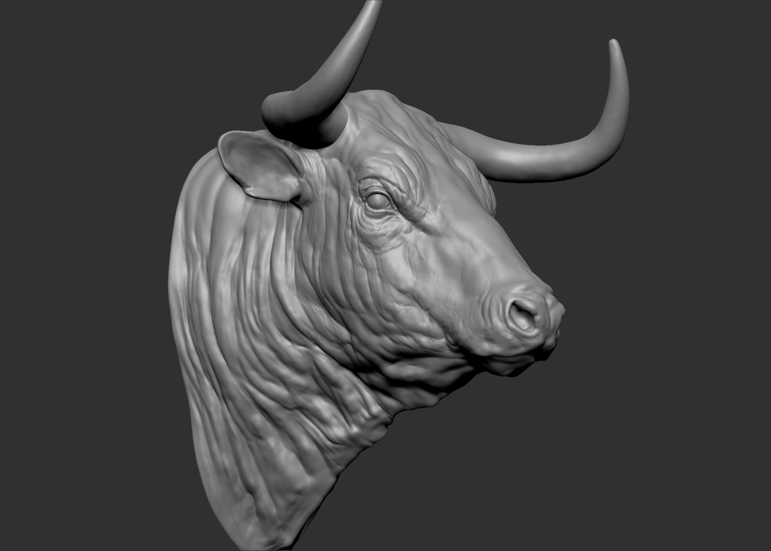Bull Head 3D Model - TurboSquid 1764747